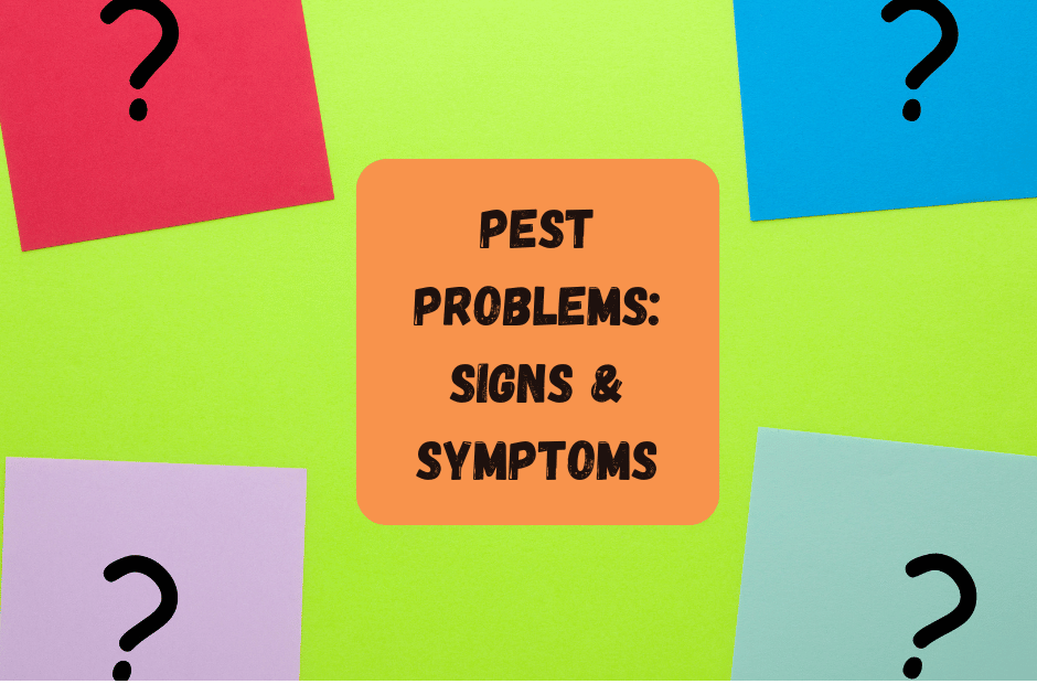 Pest problems: signs and symptoms - SBS Australia